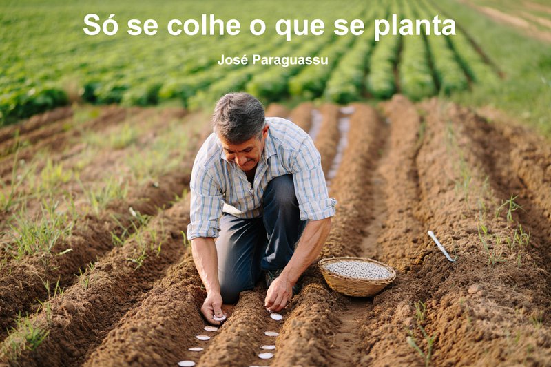 Só se colhe o que se planta - ROTA343